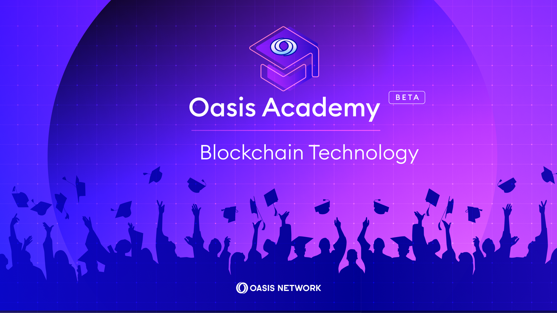 Blockchain technology and its shortcomings – Oasis Community Garden